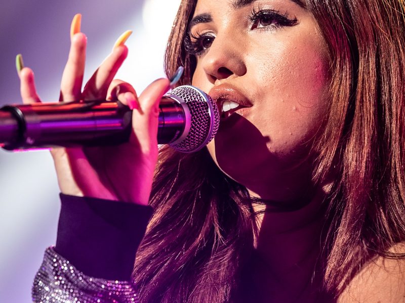 Cantante - Profesiones y Estudios, Orientación Laboral