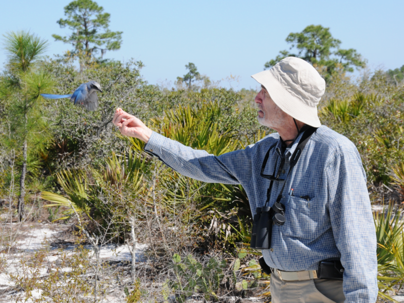 Ecólogo - Profesiones y Estudios, Orientación Laboral